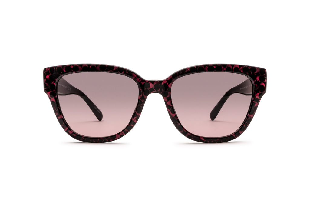 COACH HC-8379U - Women's Sunglasses – Greiche & scaff